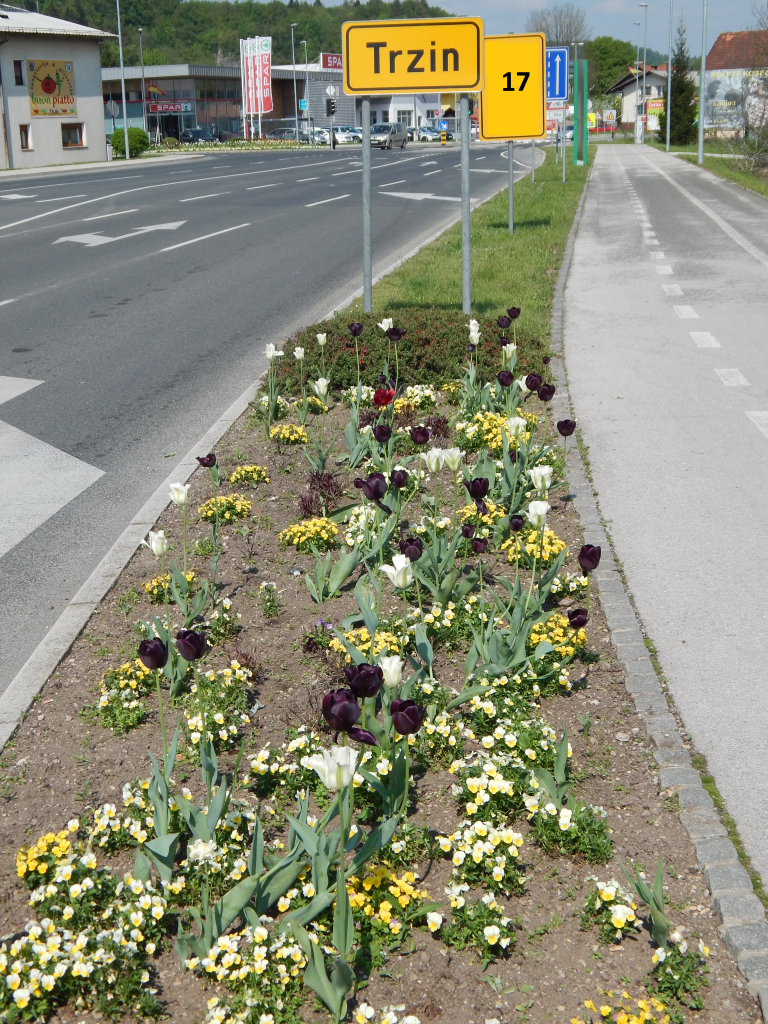 Info središče Trzin